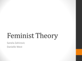 Comprehensive Overview of Total Feminist Theories