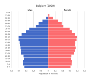 The Belgium Population Pyramid: A Reflective Analysis of Demographic Trends