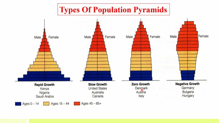 Population Pyramid Types: Your Easy Guide.