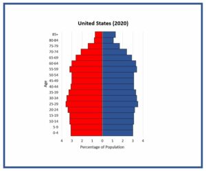The USA Population Pyramid: A Glimpse into Demographic Dynamics