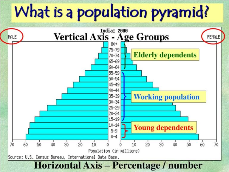 Population Pyramid Percentage: What It Reveals About Demographics