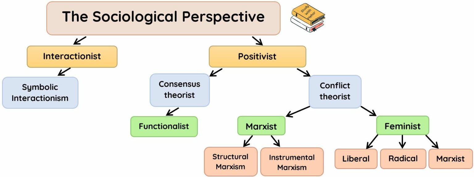 Which Sociological Perspective Best Explains Society? A Deep Dive Which Sociological Perspective Best Explains Society? A Deep Dive