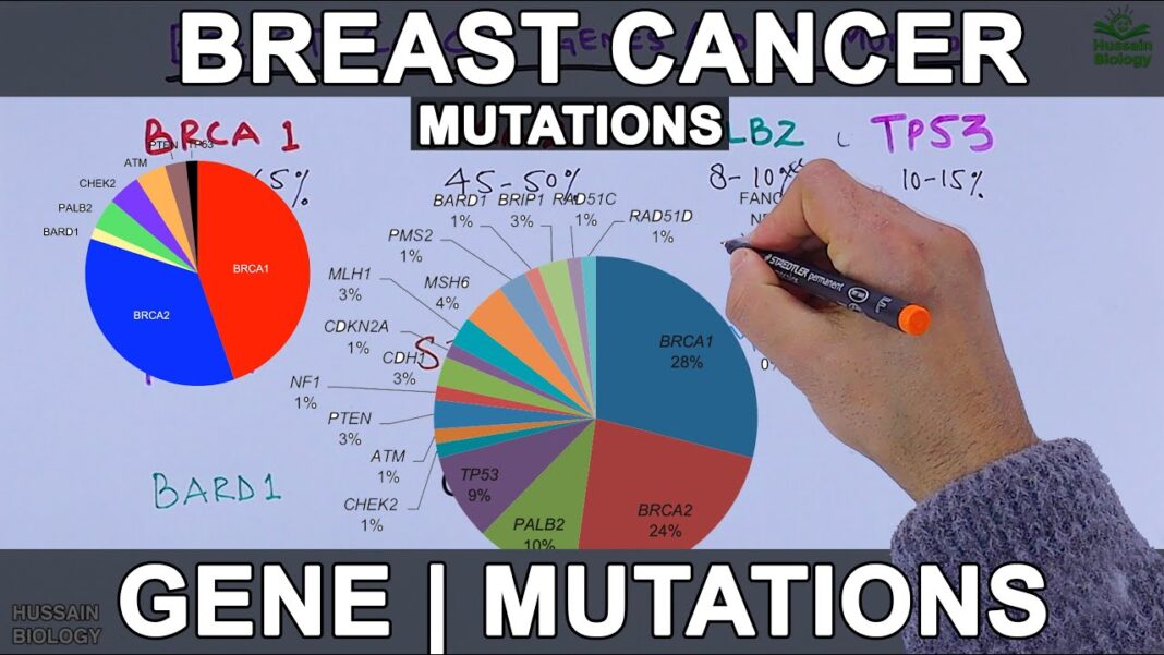 Breast Cancer Gene Mutation May Determine Whether It Fights or Fuels Tumors