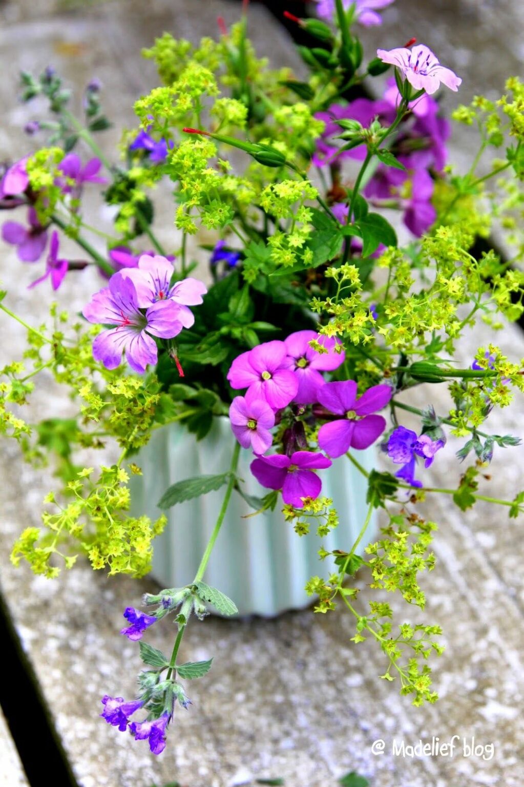 50 Baby Names Inspired by Flowers That Bloom with Elegance